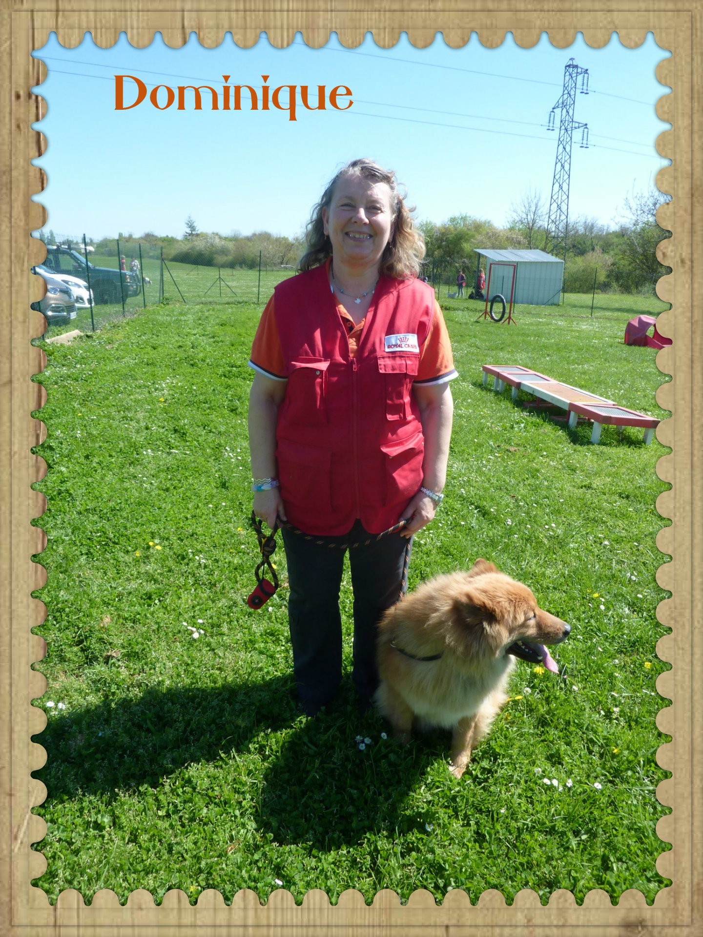 DOMINIQUE (2) – Club Cynophile de Châteauroux – Club Canin Indre 36